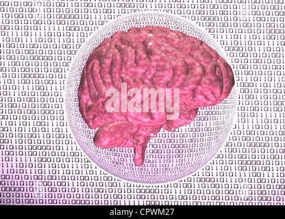 illustration of a human brain floating in spheres Stock Photo - Alamy