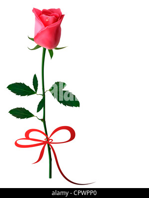 Close up Beautiful green leaf pattern background texture for design ...