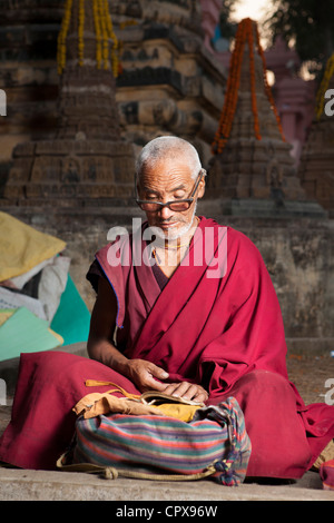 Portrait of Buddhist pilgrims reading scriptures books, Mahabodhi ...
