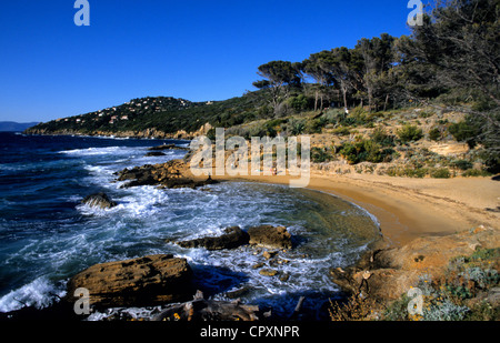 France, Var, Golden Islands, Isle of Levant, Trail Naturist Stock Photo ...