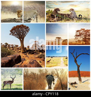 african landscapes collage Stock Photo - Alamy