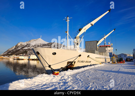 Norway, Nordland County, Vesteralen Islands, Myre area, lighthouse in ...