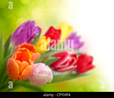 Colorful tulips, spring easter background, flowers for mother's day or ...