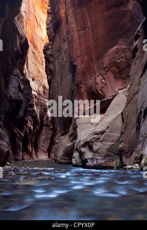 Zion narrows streams virgin rivers Stock Photo - Alamy