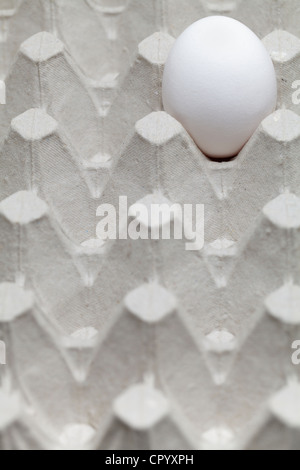 A single egg in a cardboard egg carton with a dark red and black ...
