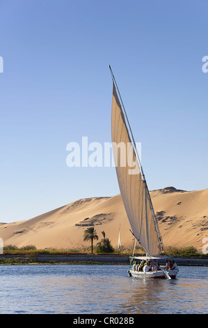 A Felucca, a traditional wooden sailing boats on the River Nile Aswan ...