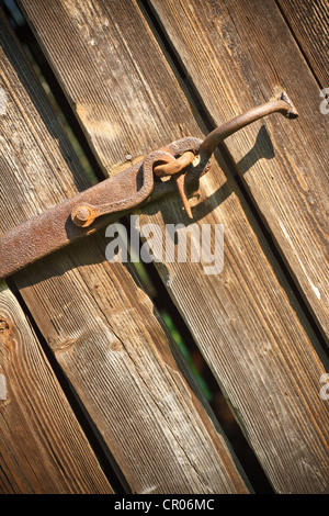 Old rusty staple on a wooden shed Stock Photo - Alamy