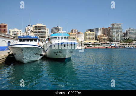 Calpe fishing in the harbour Stock Photo - Alamy