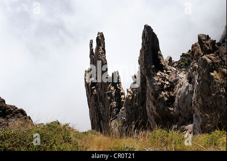 Pared de Roberto rock wall, Caldera de Taburiente National Park, La ...