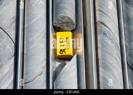 Diamond drill core lined up during exploration drilling campaign Stock ...