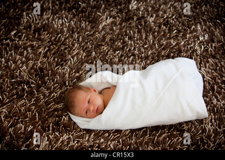 two weeks old newborn in studio lighting against white Stock Photo - Alamy