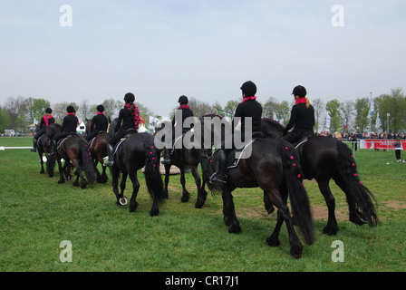horse riding class in Horst Netherlands Stock Photo - Alamy