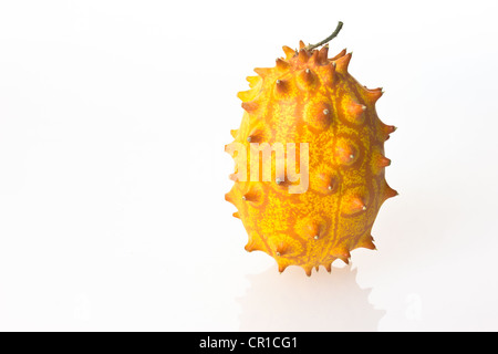 Horned cucumber or horned melon (Cucumis metuliferus), unripe fruit ...