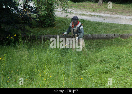 An employee cut the lawn mower engine manual Stock Photo - Alamy