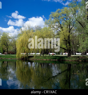 Novodevichy Park at Spring Stock Photo - Alamy