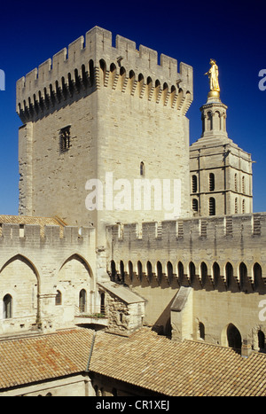 France, Vaucluse, Avignon, Palais des Papes, UNESCO World Heritage ...