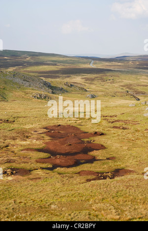 Small upland peat bog on Migneint, a Welsh upland habitat area in North ...