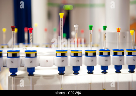 glass laboratory test tubes in science research lab Stock Photo ...