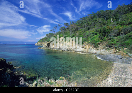 France, Var, Ile de Port Cros Stock Photo - Alamy