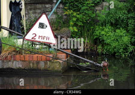 A duck standing next to a 2mph sign on the Trent & Mersey and Staffs ...