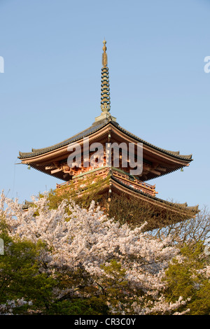 Japan, Honshu Island, Kinki Region, city of Kyoto, Kiyomizu Dera Temple ...