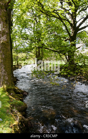 Grisedale Beck in the English Lake District Stock Photo - Alamy