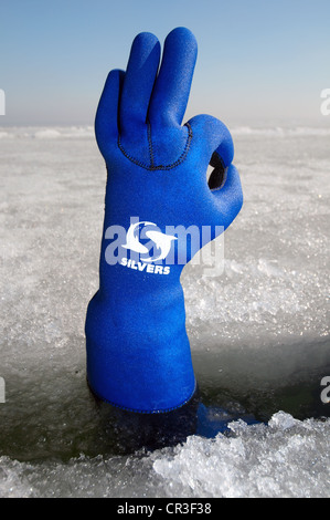 Diver's hand giving the OK sign, subglacial diving, ice diving, in the ...