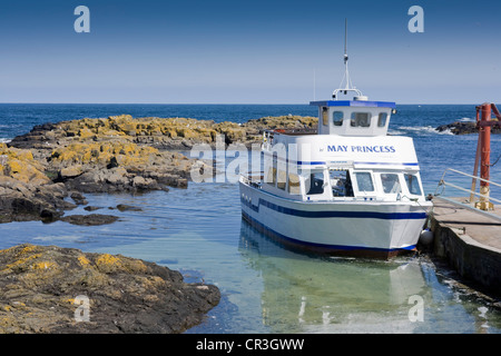 The May Princess pleasure boat at harbour on the Isle of May Stock ...
