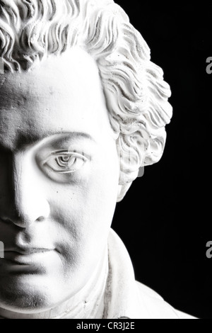 Mozart, Wolfgang Amadeus, portrait image, vector illustration, black ...