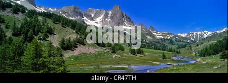 France, Hautes Alpes, La Claree Valley, Nevache, forest of larches in ...