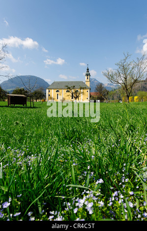 View of the Upper Bavarian Inn Valley in Chiemgau around the typical ...