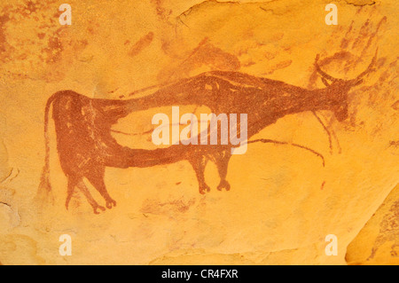 Painted cow, neolithic rock art at Tin Meskis, Adrar N'Ahnet, Algeria ...