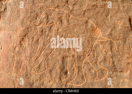 Elephant engraving, neolithic rockart of the Acacus Mountains or ...