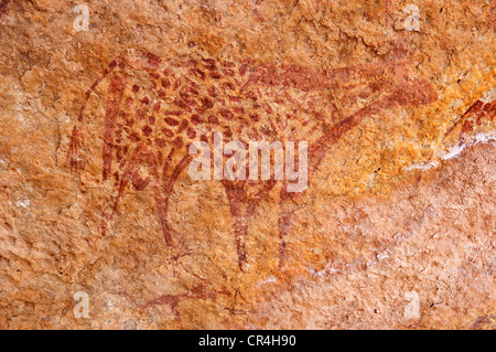 Painted cow, neolithic rock art at Tin Meskis, Adrar N'Ahnet, Algeria ...