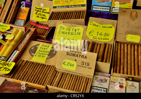 Cigars, Amsterdam, The Netherlands Stock Photo - Alamy