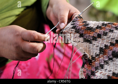 Indigenous woman from the Wichi Indians tribe, 31 years, cooking in a ...