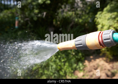 a garden hose for watering the plants in the garden garden hose for ...
