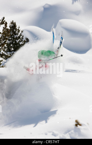 Freerider, skier, snowy landscape, northern Tyrol, Austria, Europe ...