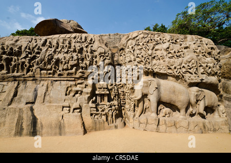 Rockcarvings in Mahabalipuram, Tamil Nadu, India, Asia Stock Photo - Alamy