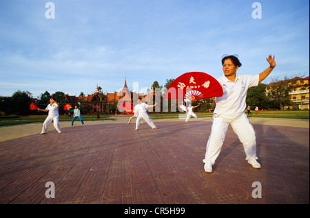 Tai Chi to start day in Pnom Penh Stock Photo - Alamy