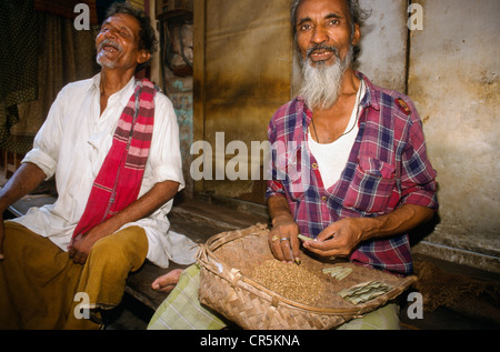 making bidis, the traditional indian cigarettes Stock Photo - Alamy