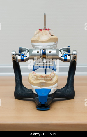 Upper and lower jaw models in the articulator Stock Photo - Alamy