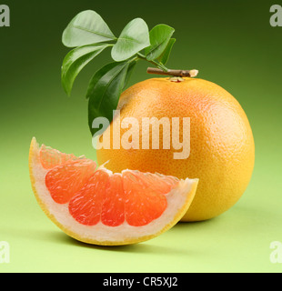 fresh tropical green leaves on green background with shadow Stock Photo ...
