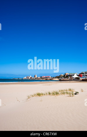 Port Elizabeth beach view, South Africa panorama. Indian ocean Stock ...