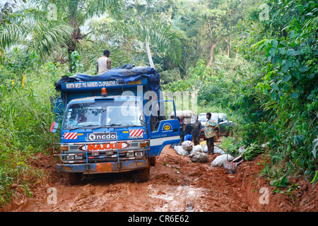 Truck stuck in the mud, jungle trail, Bamenda, Cameroon, Africa Stock ...