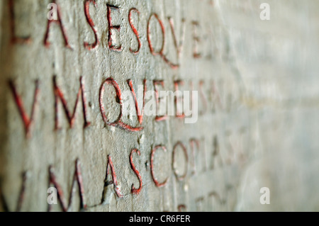 Latin inscription on stone inside the Roman Colosseum Rome Italy Stock ...