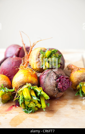 Close-up shot of white turnips preserved in grapes marc Stock Photo - Alamy