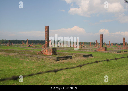 Auschwitz-Birkenau Extermination Complex Stock Photo - Alamy