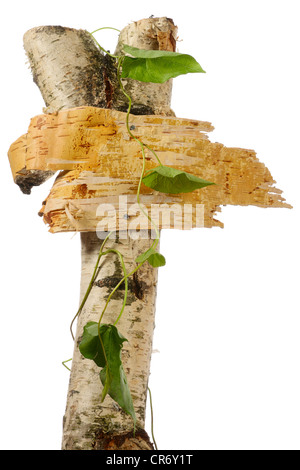 Signboard from birch cork isolated on white Stock Photo - Alamy