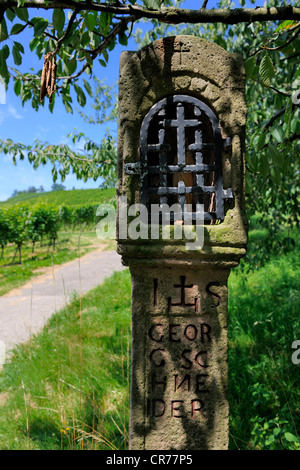 the black forest in germany Stock Photo - Alamy